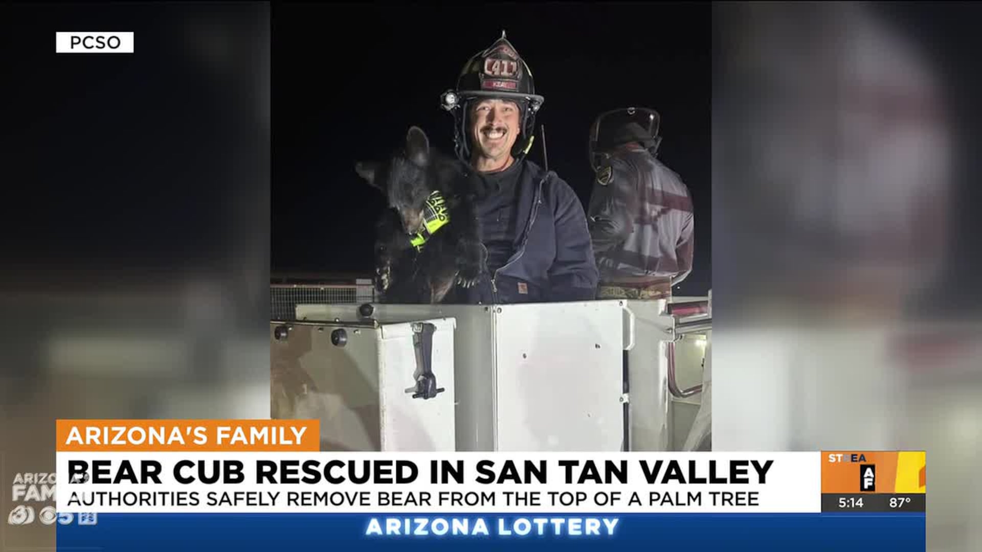 San Tan Valley Bear Cub Rescue Ignites Community Spirit - Hartford ...